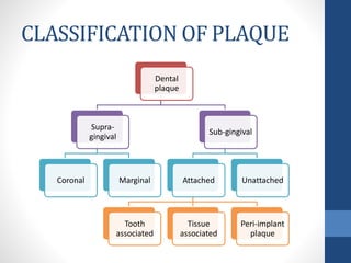 Dental plaque | PPTX