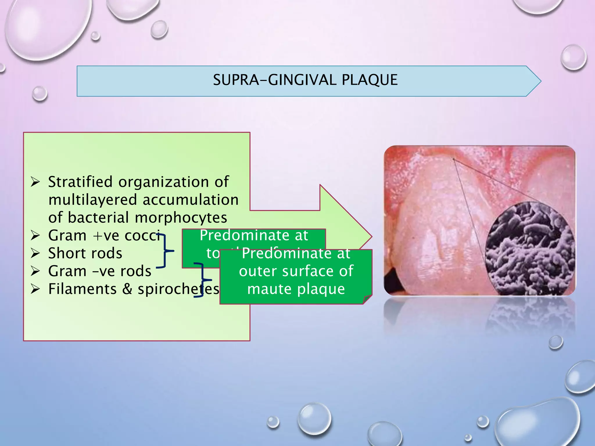 Dental plaque.pptx