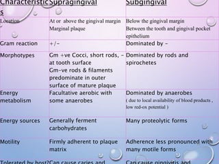 Dental plaque.pptx