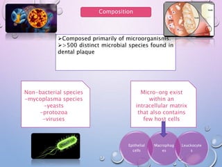 Dental plaque.pptx