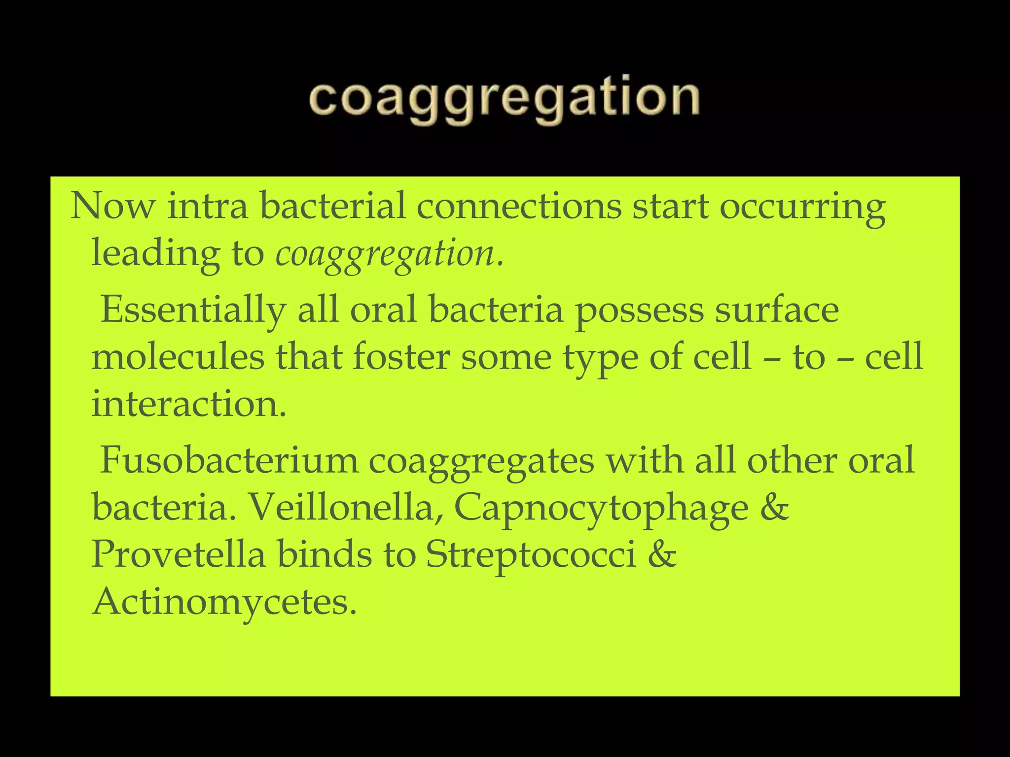 Dental plaque.ppt