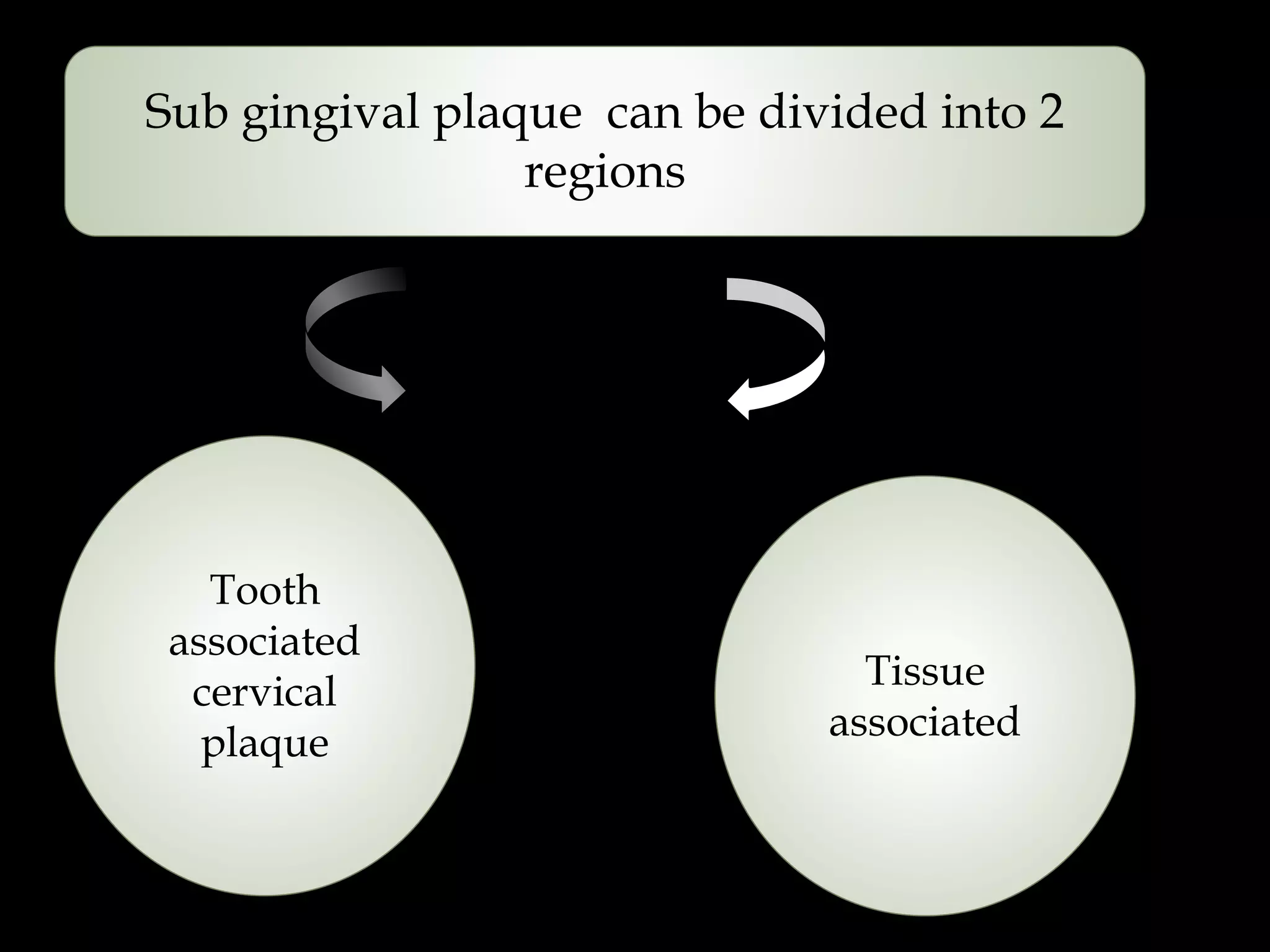 Dental plaque.ppt
