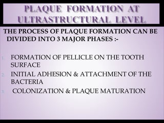 Dental plaque.ppt