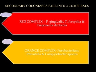 Dental plaque.ppt