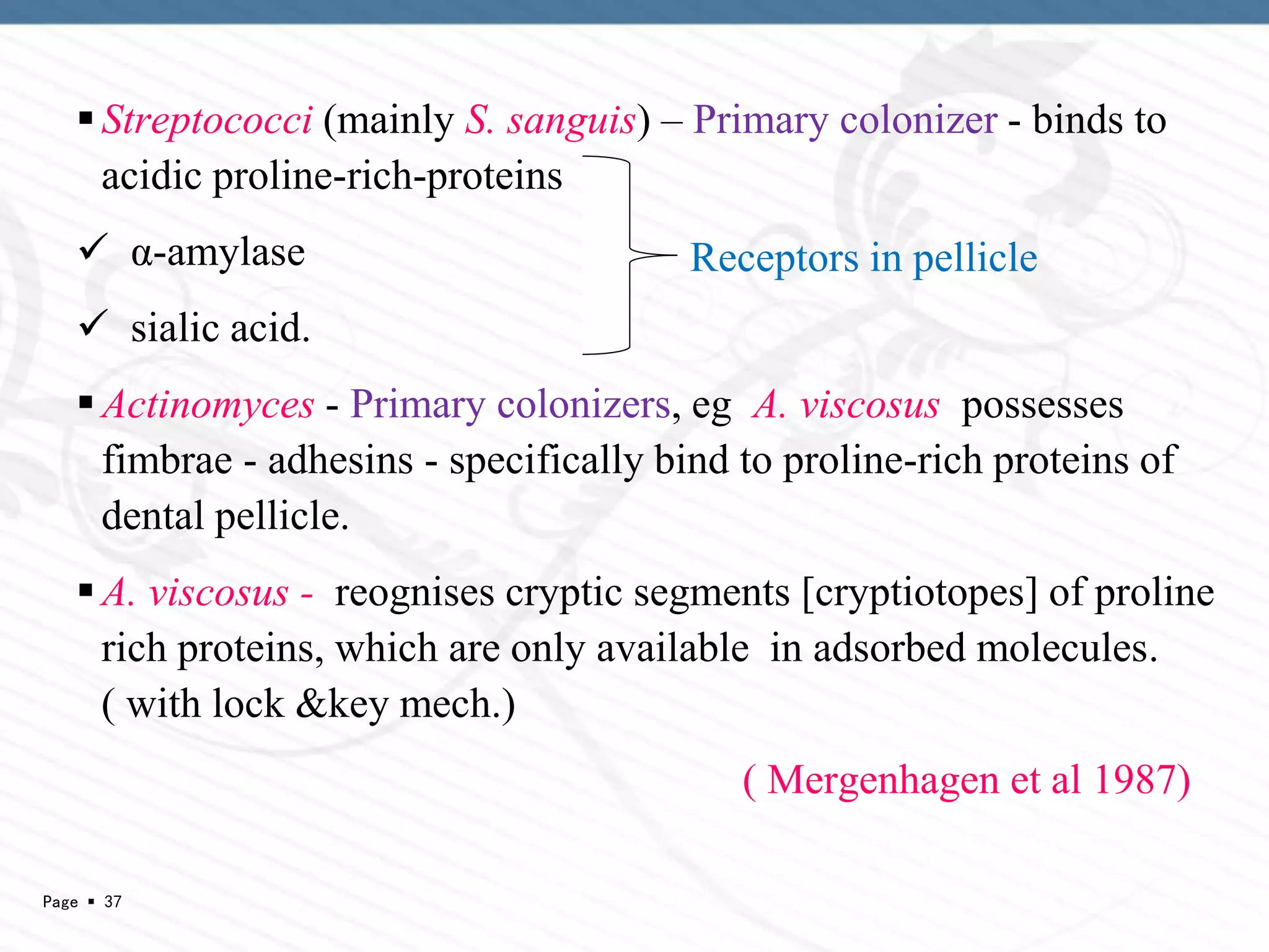 DENTAL PLAQUE - PART 1 | PPTX