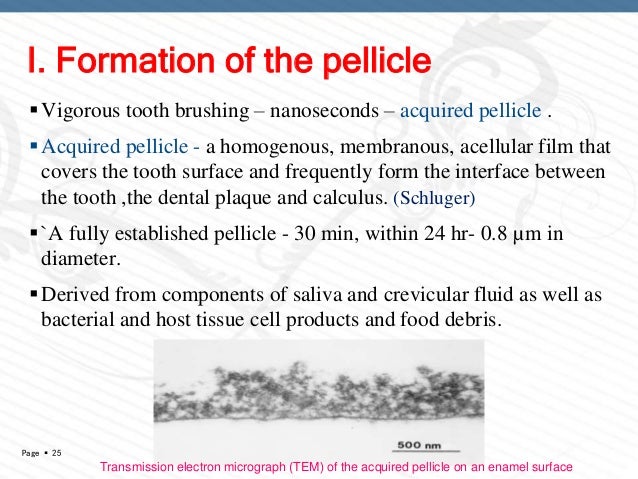 DENTAL PLAQUE - PART 1