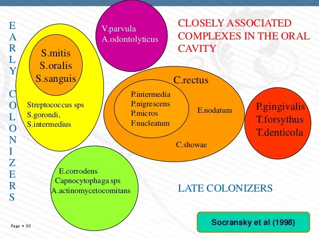 DENTAL PLAQUE - PART 1