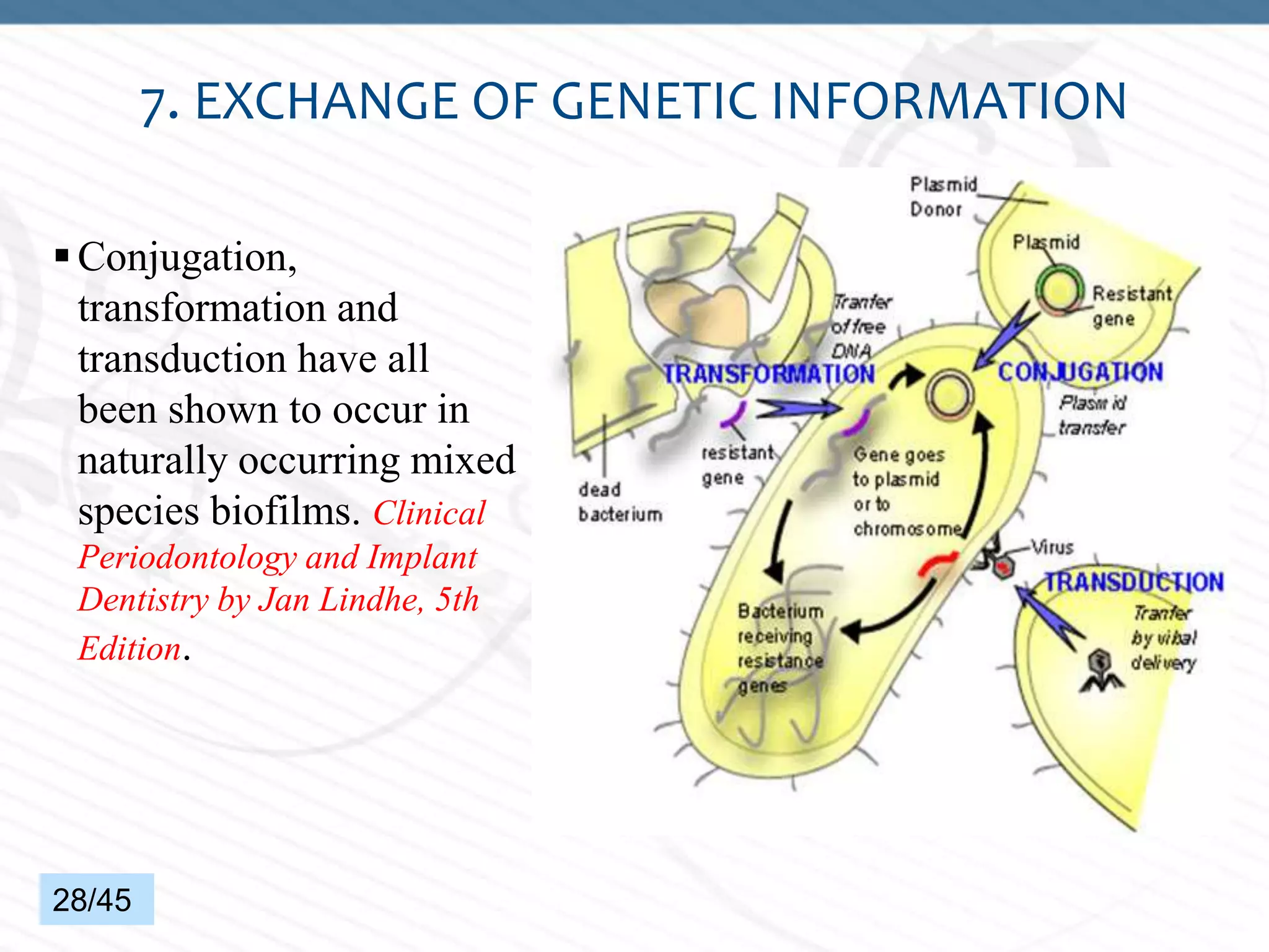 DENTAL PLAQUE - PART 2 (BIOFILM) | PPTX