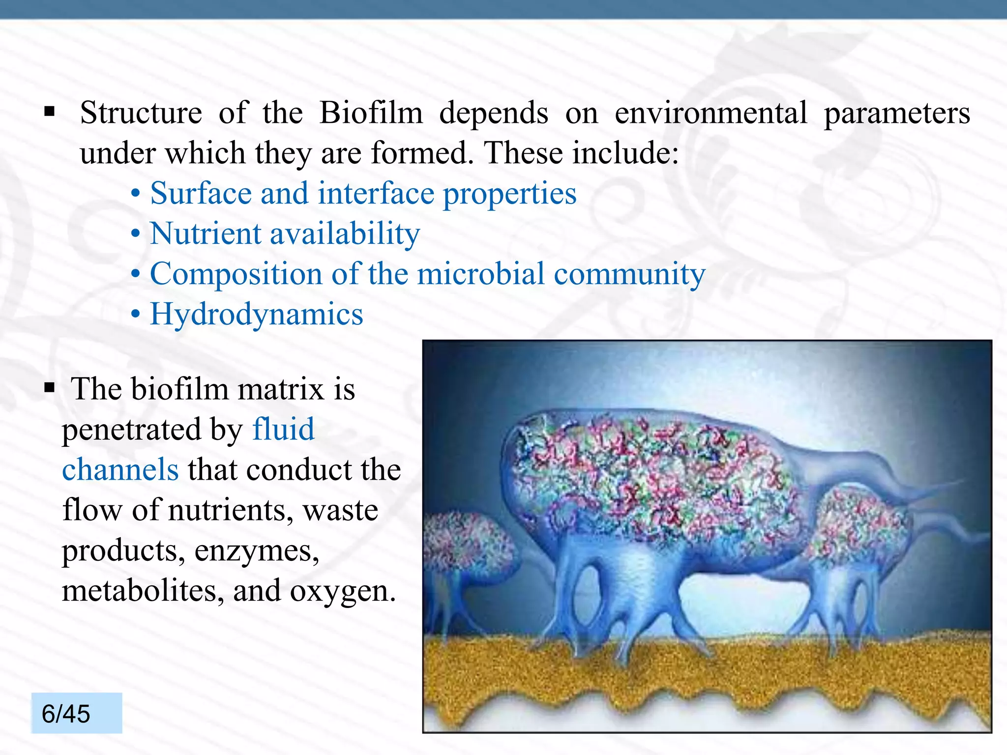 DENTAL PLAQUE - PART 2 (BIOFILM) | PPTX