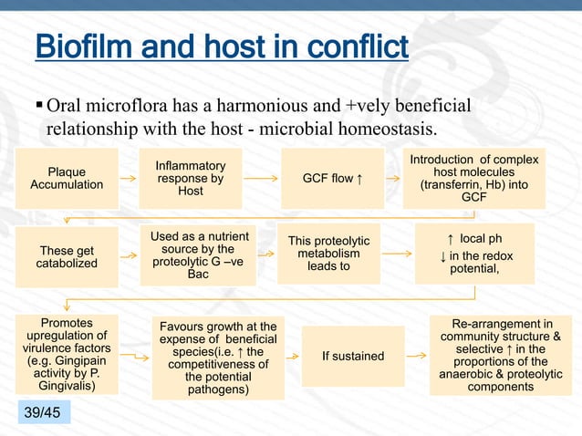 DENTAL PLAQUE - PART 2 (BIOFILM) | PPTX | Dental Health | Diseases and ...