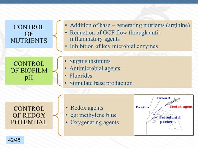 DENTAL PLAQUE - PART 2 (BIOFILM) | PPTX | Dental Health | Diseases and ...
