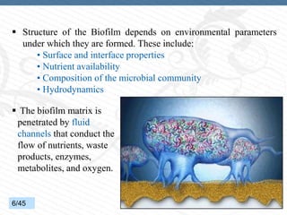 DENTAL PLAQUE - PART 2 (BIOFILM) | PPTX