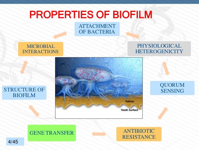 DENTAL PLAQUE - PART 2 (BIOFILM)