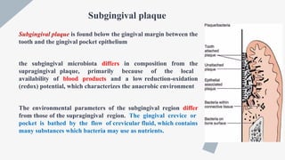 Dental Plaque Biofilm byDr. Mohammed.pptx