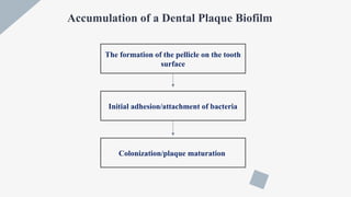 Dental Plaque Biofilm byDr. Mohammed.pptx