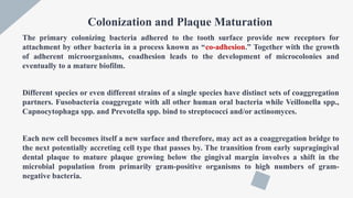 Dental Plaque Biofilm byDr. Mohammed.pptx