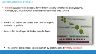 Dental Plaque by Dr. Ishu.pptx