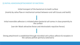 Dental Plaque by Dr. Ishu.pptx