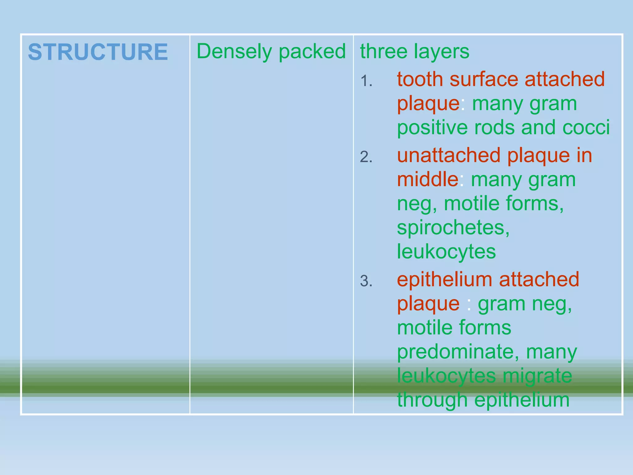 Dental plaque | PPTX