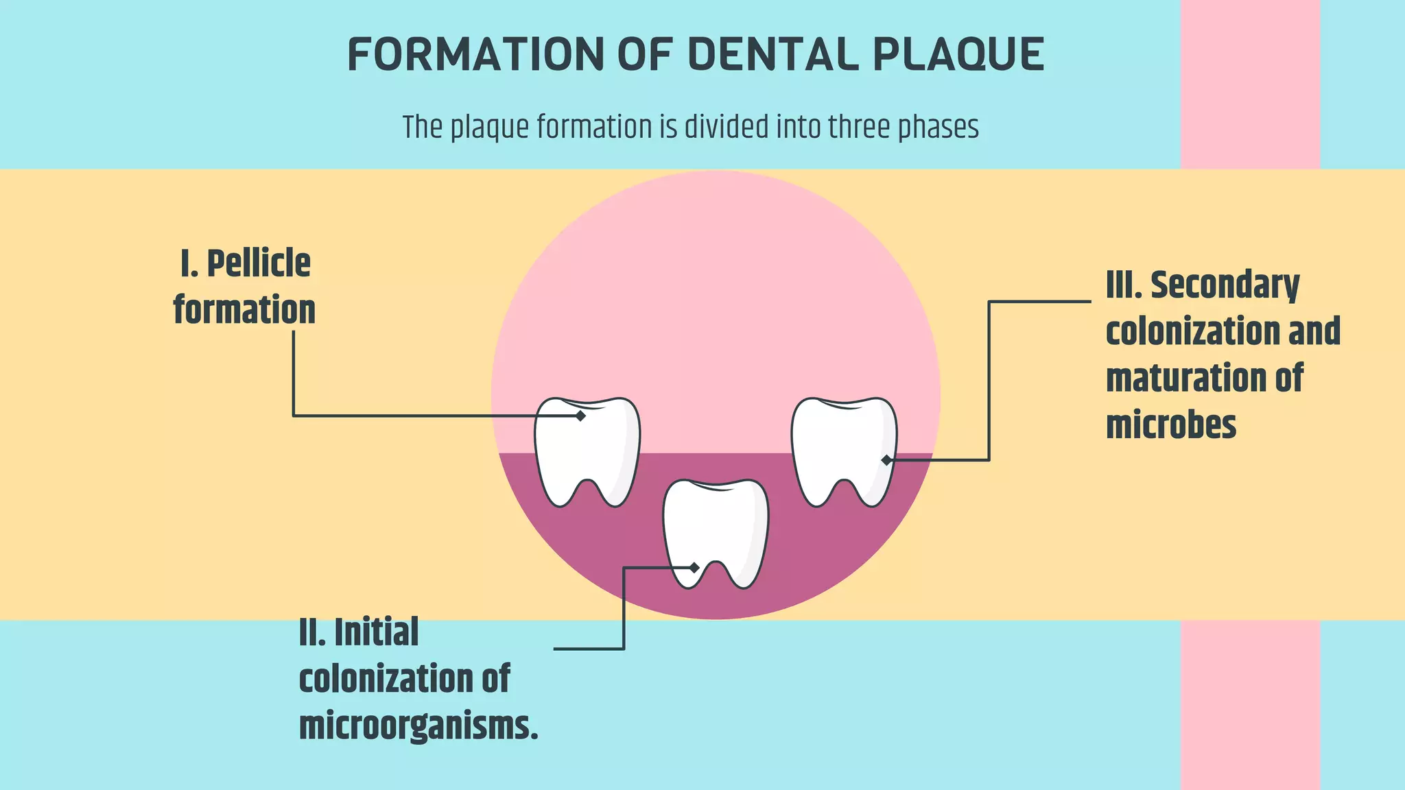 DENTAL PLAQUE PART 1 DR MANISHA CHOUBAY | PPTX