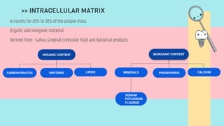 DENTAL PLAQUE PART 1 DR MANISHA CHOUBAY | PPTX