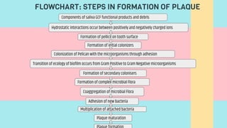 DENTAL PLAQUE PART 1 DR MANISHA CHOUBAY | PPTX