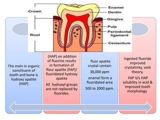 Dental products 1 | PPT