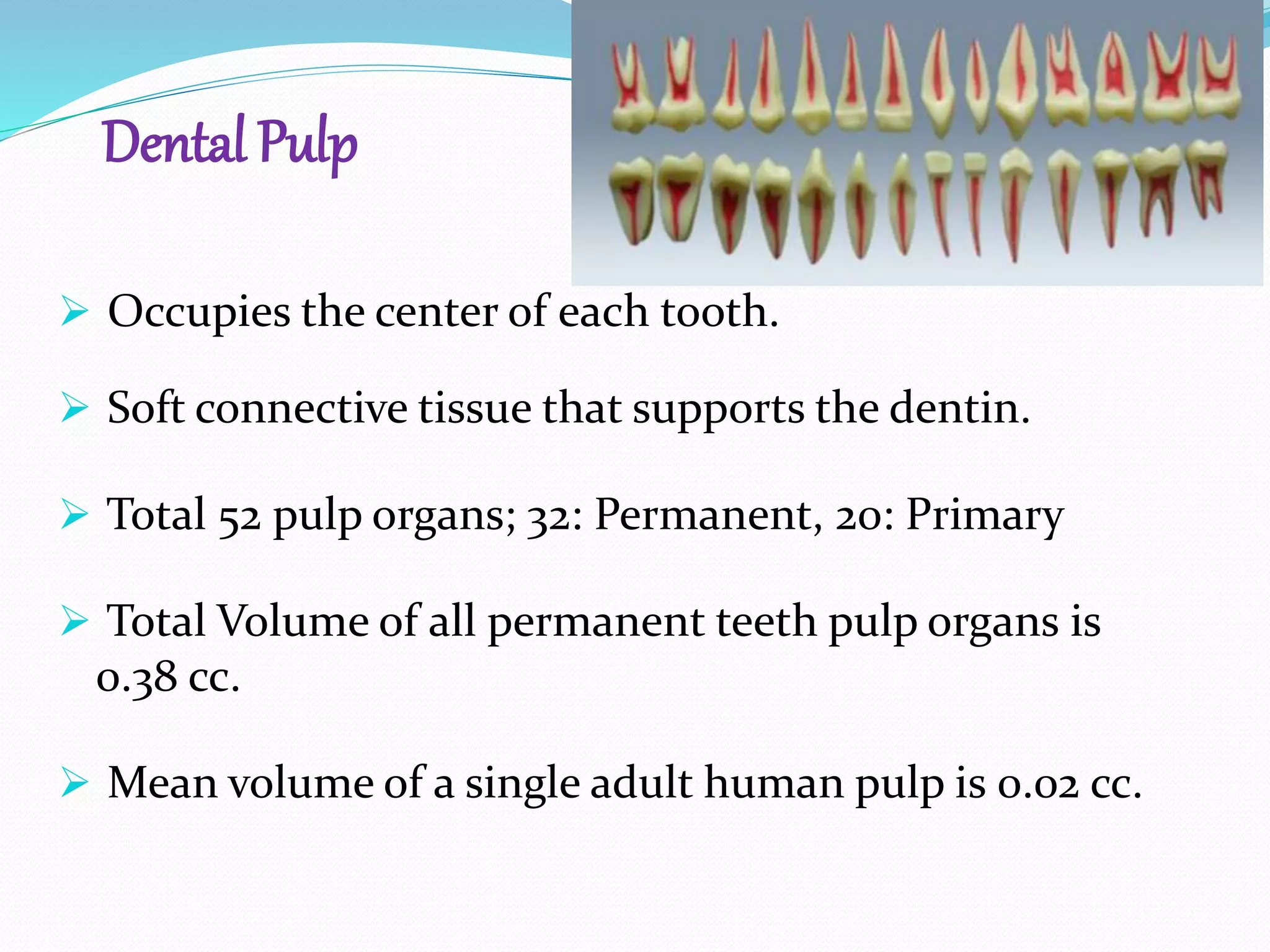 Dental pulp | PPTX