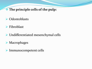 Dental pulp | PPTX