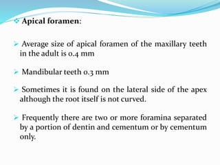 Dental pulp | PPTX