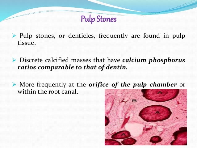 Dental pulp