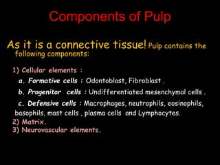 Dental pulp | PPT
