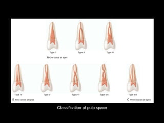 Dental pulp | PPT