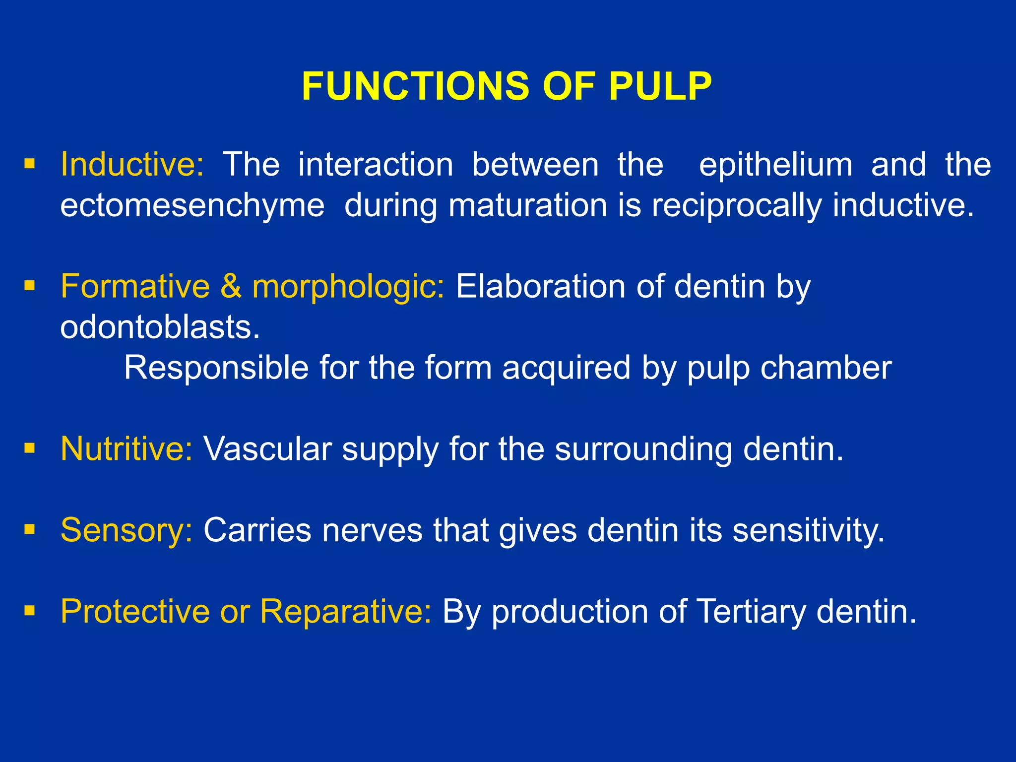 Dental Pulp.ppt