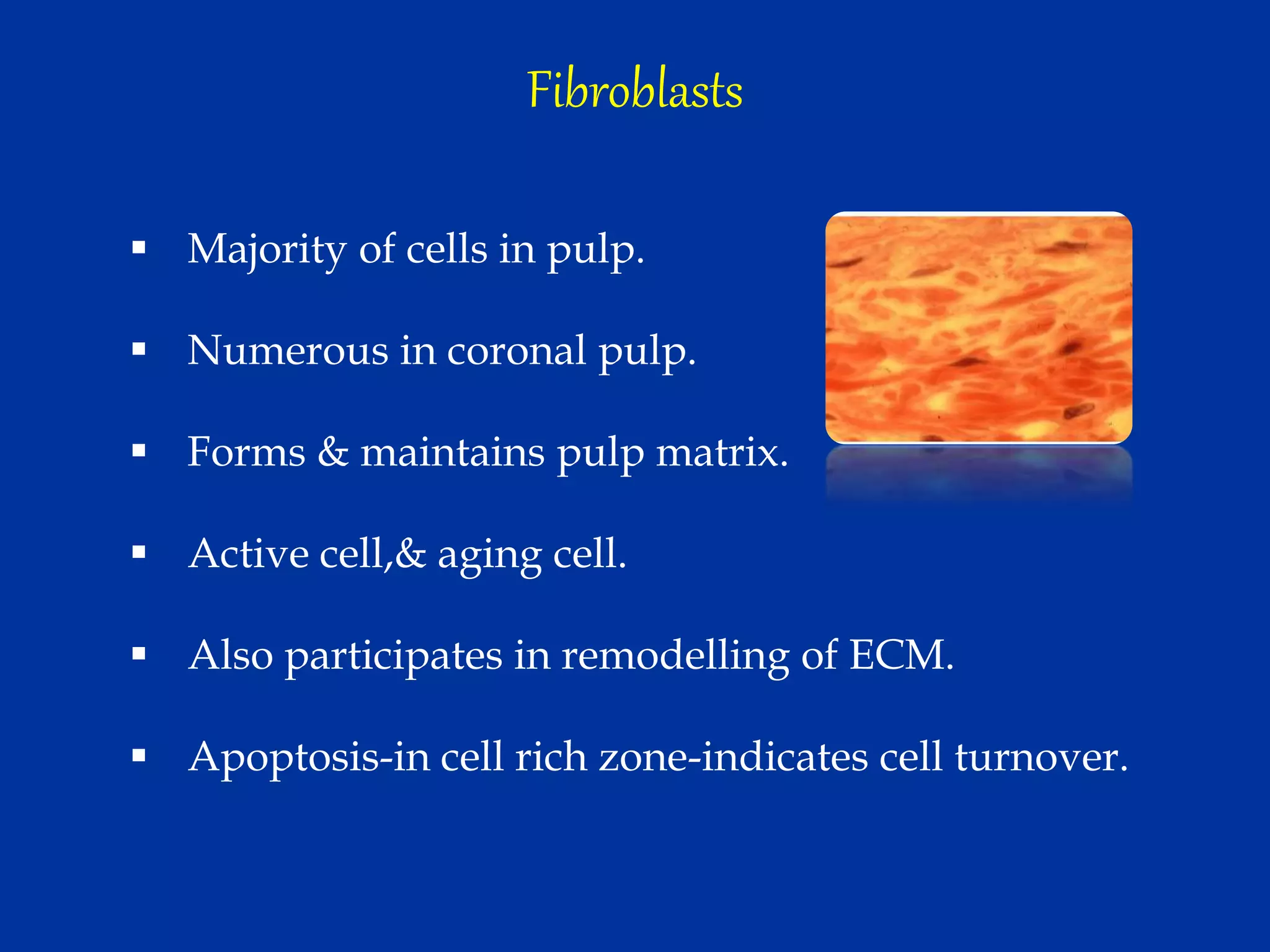Dental Pulp.ppt