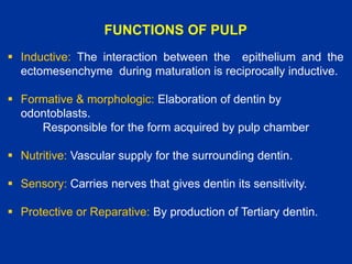 Dental Pulp.ppt