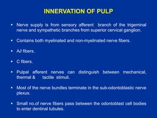Dental Pulp.ppt