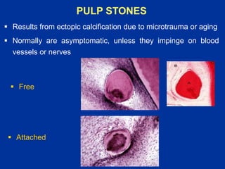 Dental Pulp.ppt