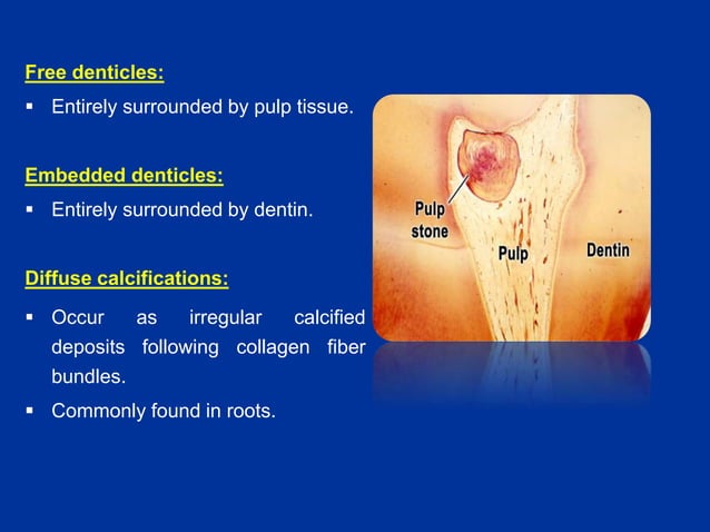 Dental Pulp.ppt | Dental Health | Diseases and Conditions