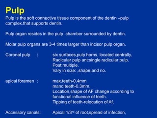 Dental Pulp.ppt
