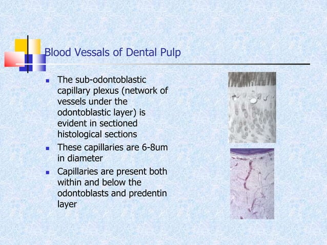 DENTAL PULP1.pptxDENTAL PULPDENTAL PULP1.pptx1.pptx