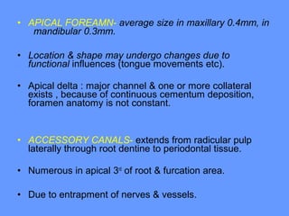 Dental pulp (3) | PPT