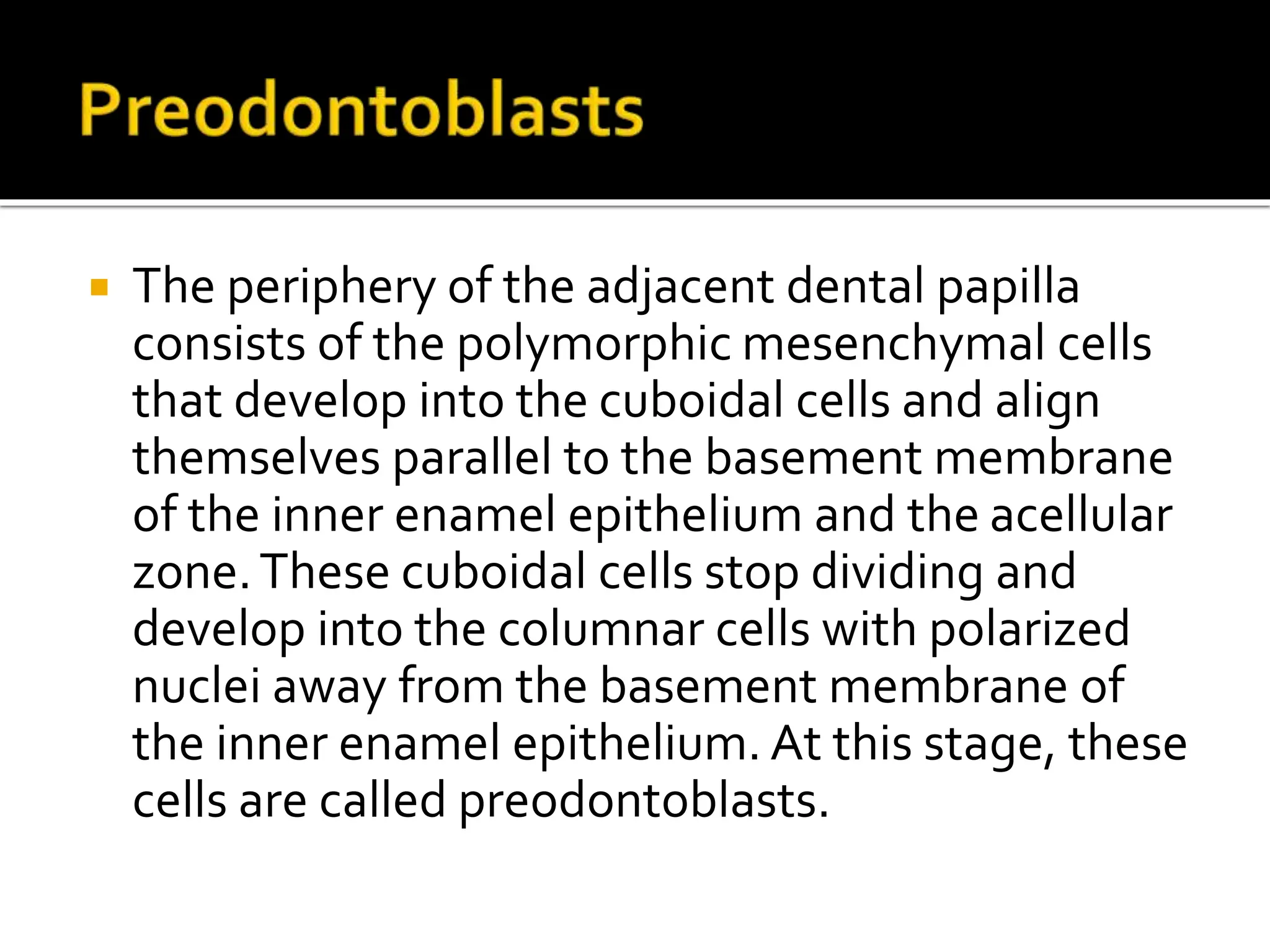 DENTAL_PULP_AND_PERIRADICULAR_TISSUE (8).pptx, INFLAMMATION, N DISEASES ...