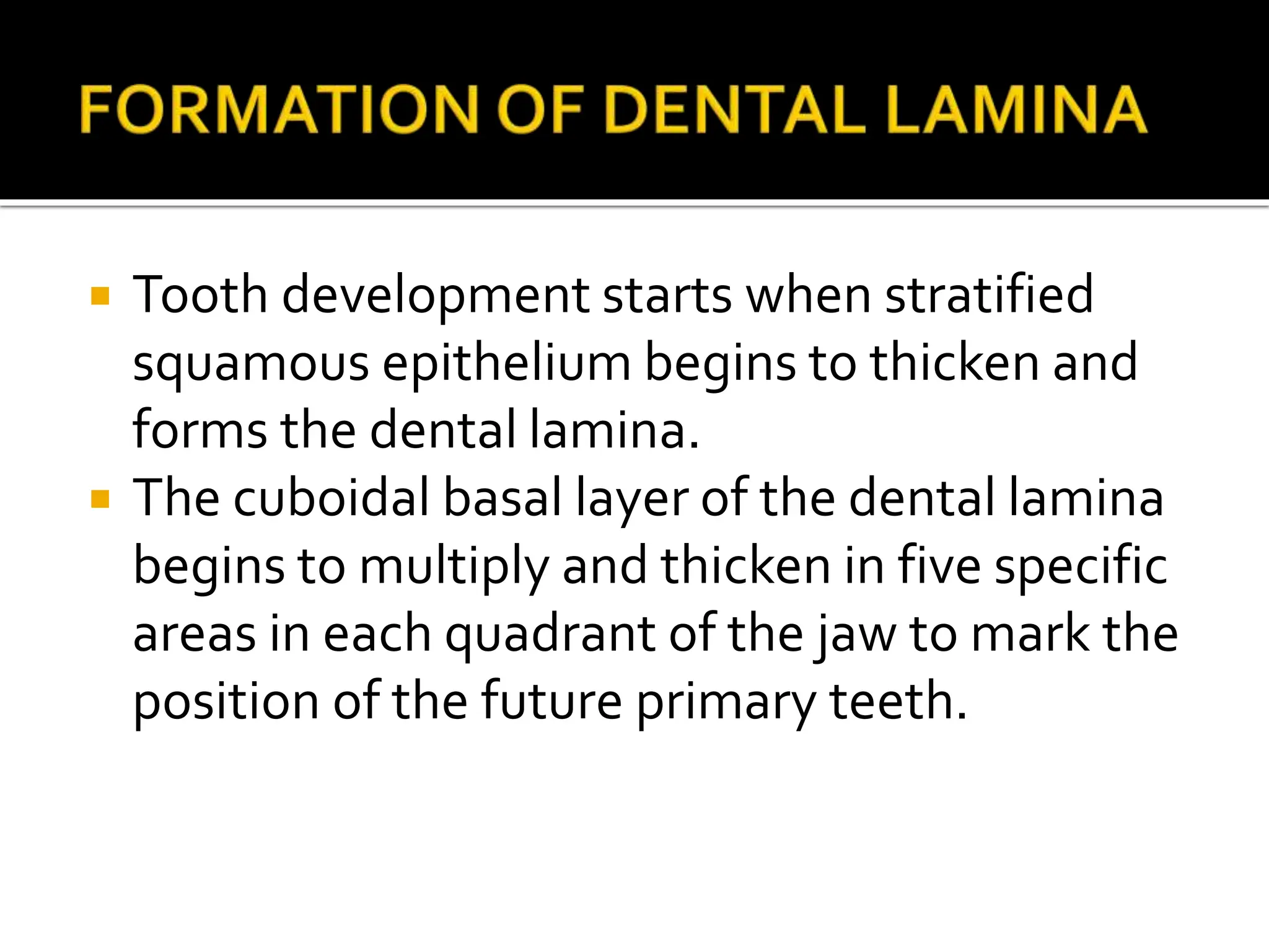 DENTAL_PULP_AND_PERIRADICULAR_TISSUE (8).pptx, INFLAMMATION, N DISEASES ...