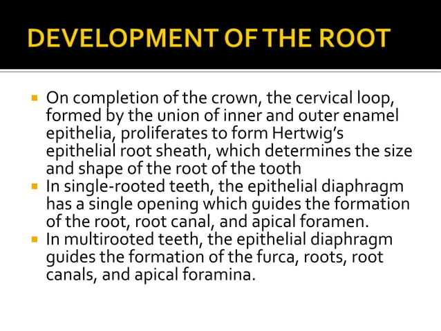 DENTAL_PULP_AND_PERIRADICULAR_TISSUE (8).pptx, INFLAMMATION, N DISEASES ...