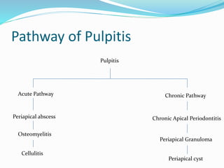 Dental sequalae of pulpitis and management of apical lesions | PPTX