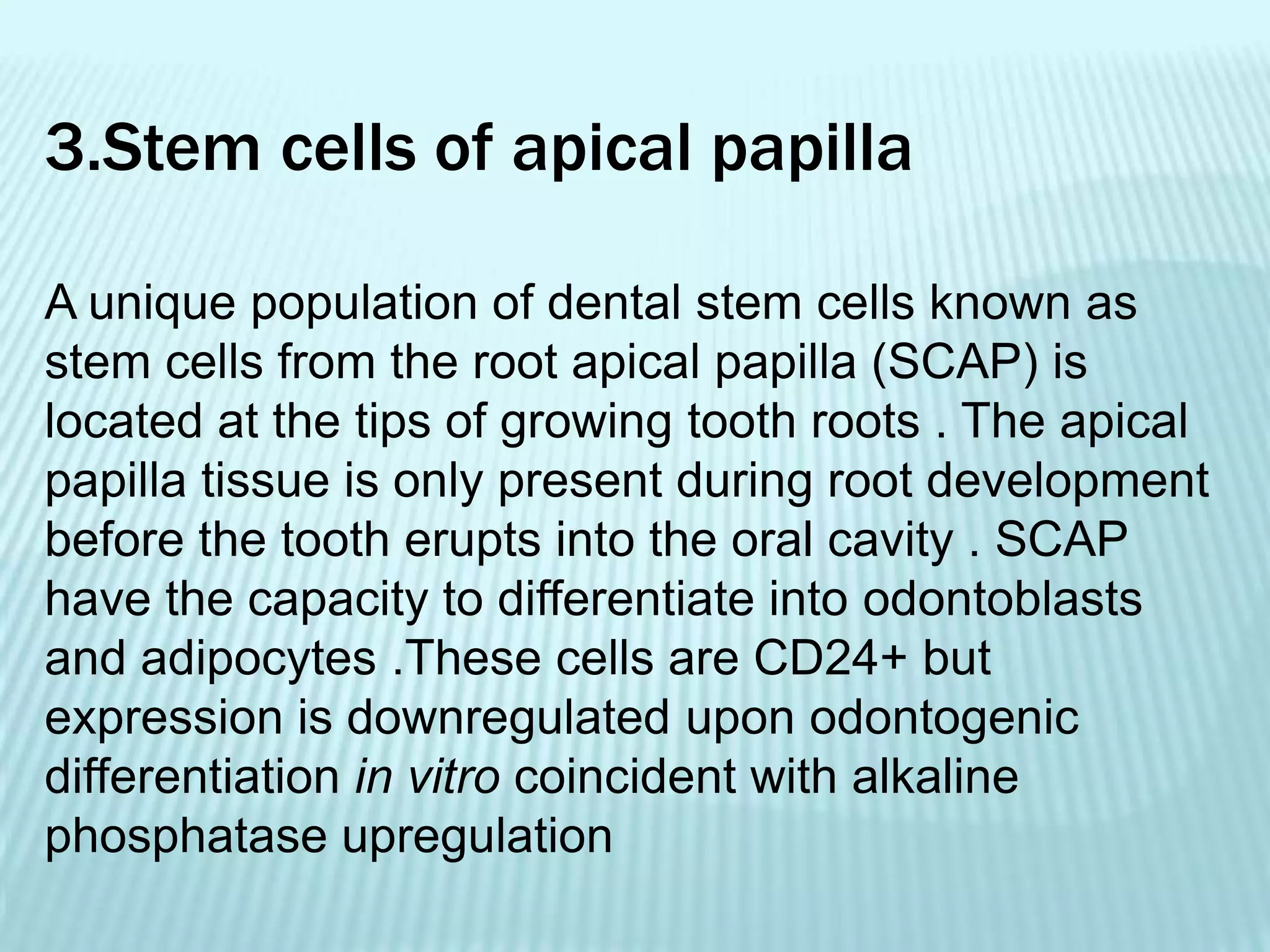 Dental stem cells | PPTX