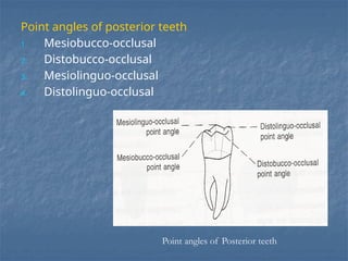 dental terminology and other terminology.pptx
