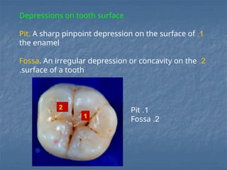 dental terminology and other terminology.pptx
