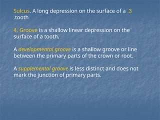 dental terminology and other terminology.pptx